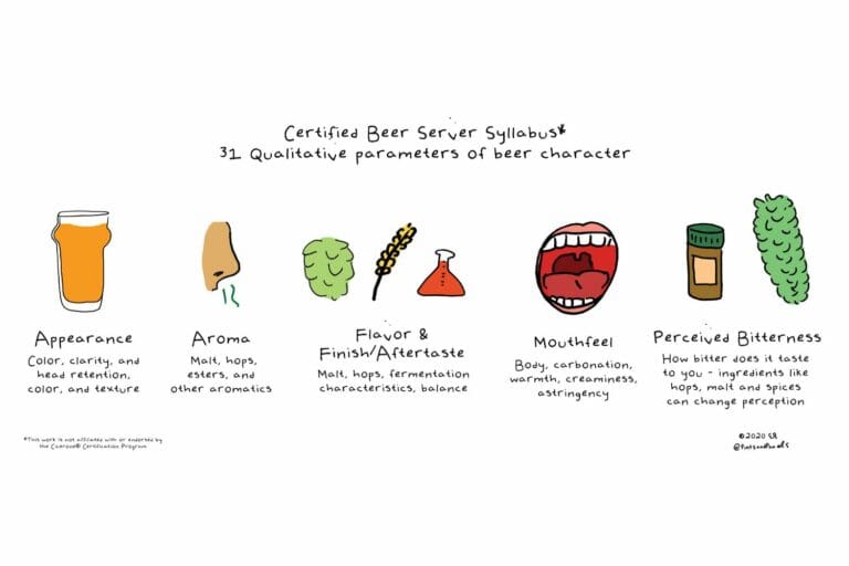 Understanding Beer Sizes: How Many Ounces Is A Can Of Beer?