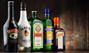 Hennessy Alcohol Percentage | Full Review
