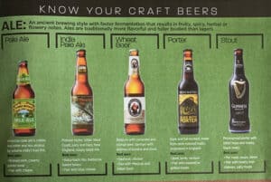 Alcohol Per Cent In Busch Light | In-Depth Review