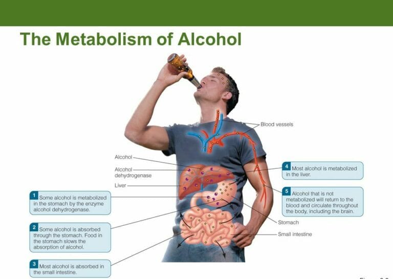 How Many Beers Equals a Shot: The Ultimate Comparison Guide