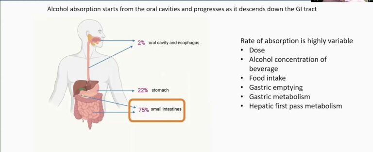 How Many Beers Equals a Shot: The Ultimate Comparison Guide