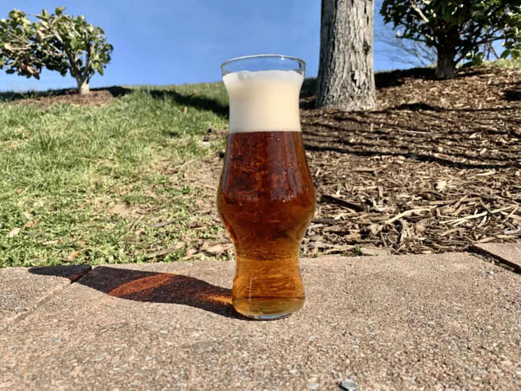 What is an IPA Beer? Everything About India Pale Ale