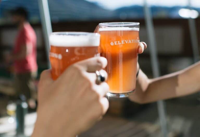 What is an IPA Beer? Everything About India Pale Ale