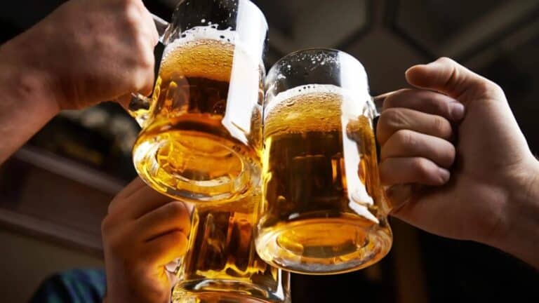 12 Best Beer That Starts With S in the World