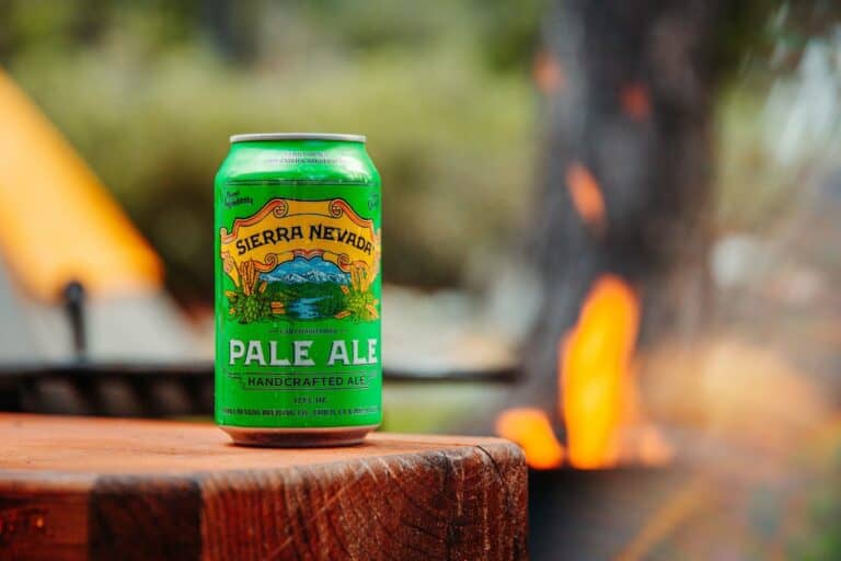 12 Best Beer That Starts With S in the World