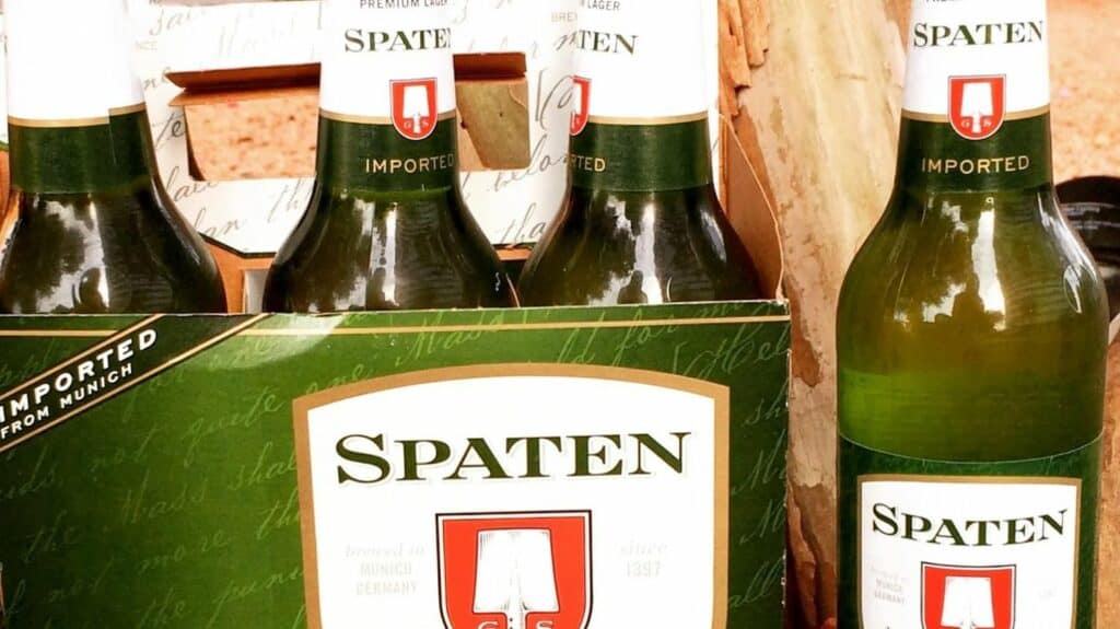 Best Beer For Beer Cheese Dip (Top 11 Picks)