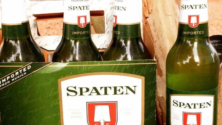 Best Beer For Beer Cheese Dip (Top 11 Picks)