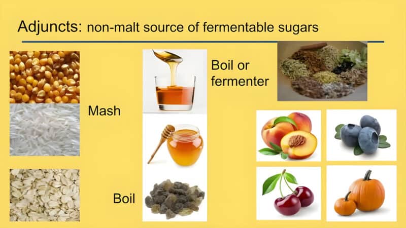 Beer Brewing Process- Step By Step Guide - People Power Beer