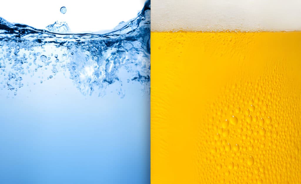 Beer Brewing Process- Step By Step Guide - People Power Beer