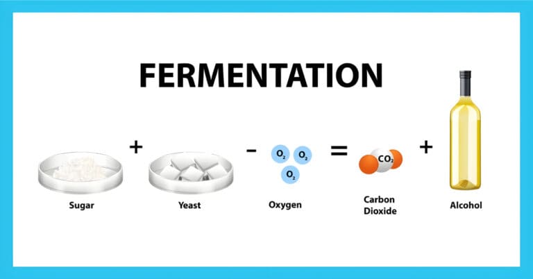Beer Brewing Process- Step By Step Guide - People Power Beer